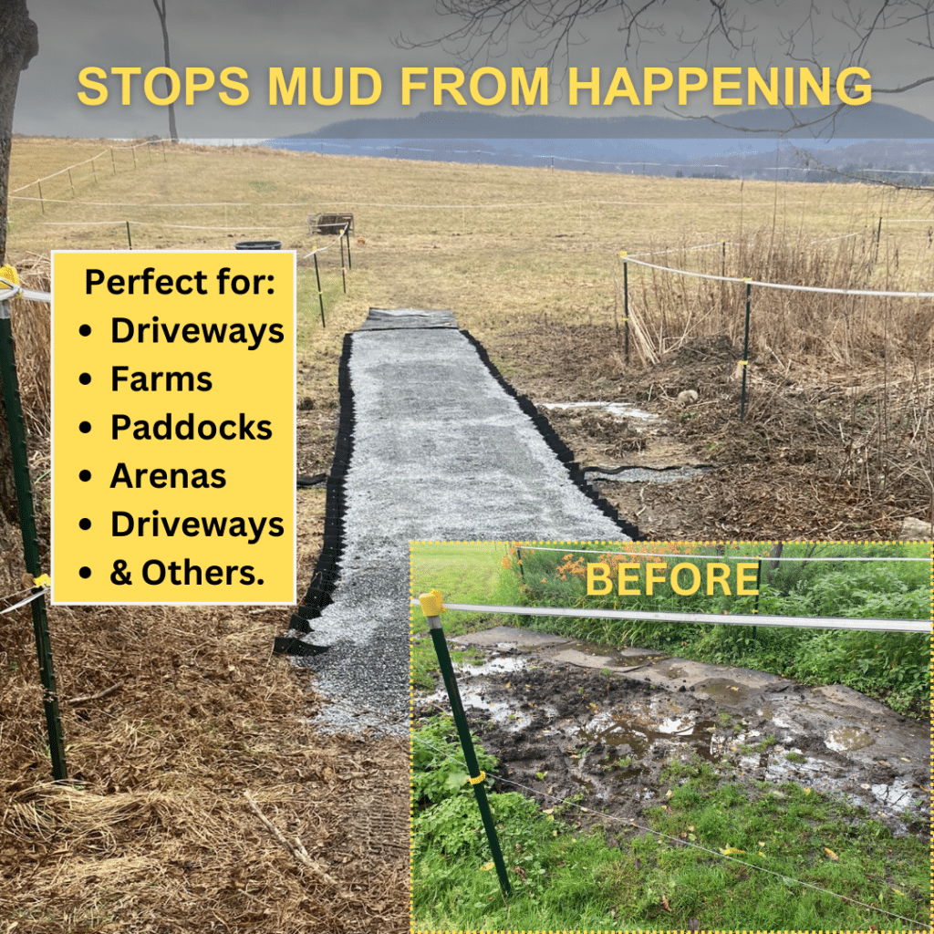 3 inch BaseCore™ | Backyard Bases