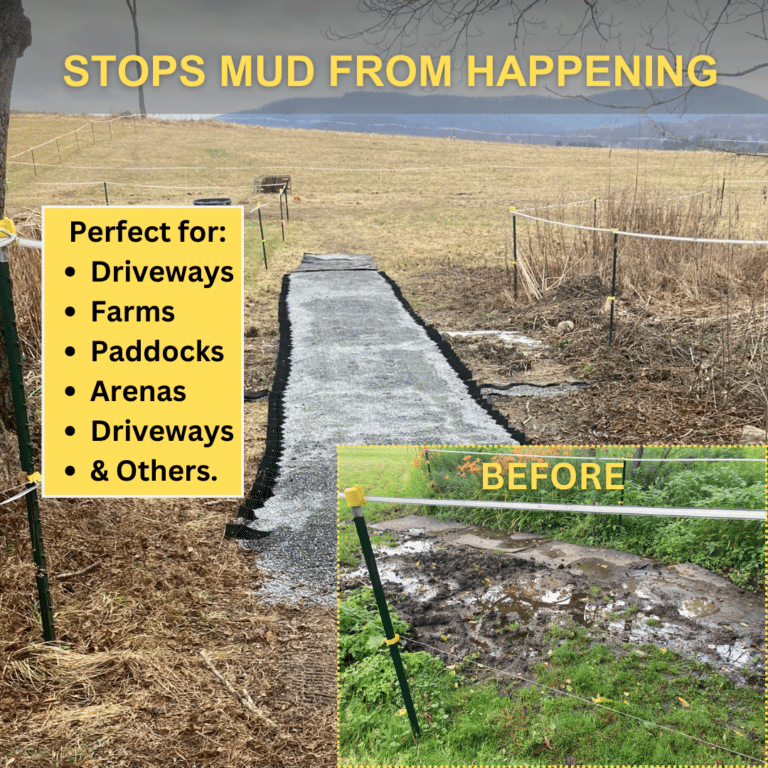 BaseCore HD Geocell | Backyard Bases