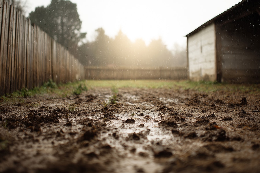 Geocell Ground Grid: End Muddy Yards & Erosion | Backyard Bases